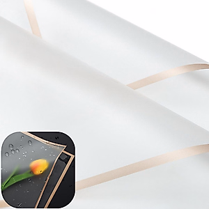 Leoyoubei 40 Counts Transparent Flower Wrapping Paper,Florist Bouquet Supplies,DIY Crafts,Gift Packaging or Gift Box Packaging,Wraps Waterproof Frosted Floral Wrapping Paper 23x23,Gold Border