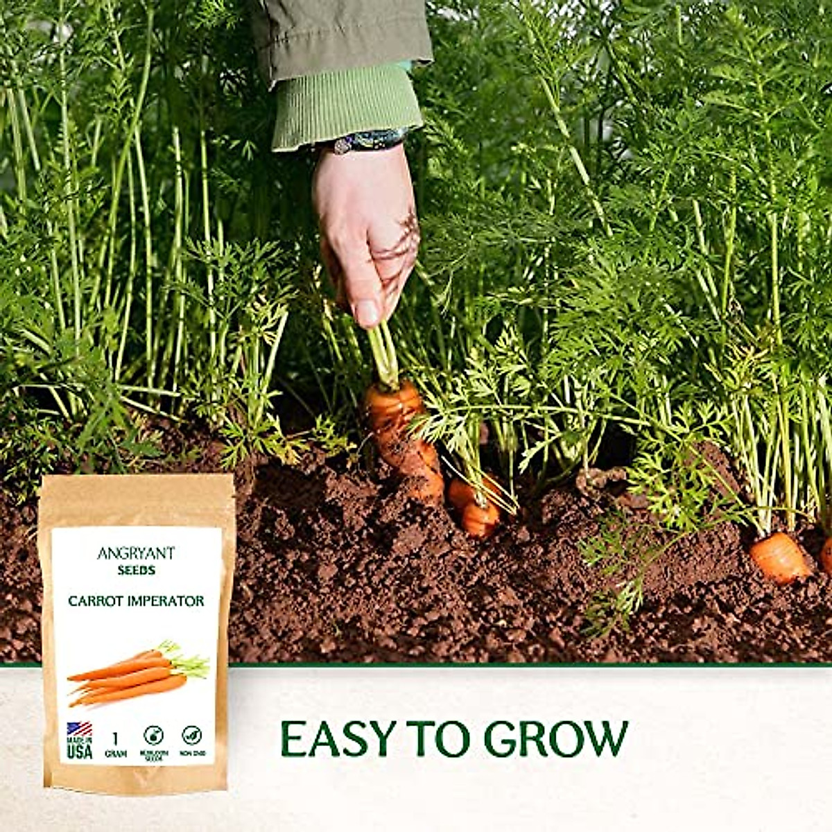 Imperator Carrot Seeds for Planting - 914+ Heirloom, Non-GMO Seeds - 100% USA Grown - Easy to Grow Long Tapered Carrots with Sweet Flavor - Suitable for Indoors and Outdoors Home Vegetable Garden