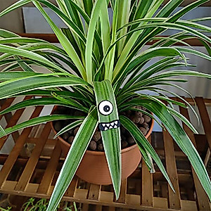 HOMDSG Monster Plant Magnets Eyes for Potted Plants, Funny Plant Safe Magnet Pins Charms, House Plant Accessories, Halloween Decorations for Plant Lovers