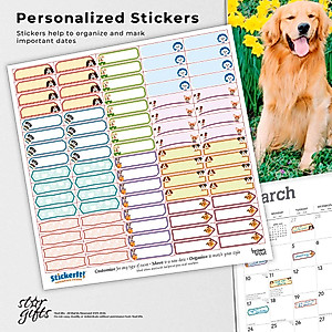 The Beauty of Golden Retrievers | 2024 12 x 24 Inch Monthly Square Wall Calendar | Sticker Sheet | StarGifts | Animals Dog Breeds Retriever