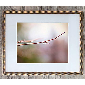 Raindrop on Branch, Limited Edition 1 Photo 1 of 4