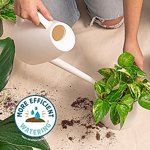 Back to the Roots 100% Organic Indoor Potting Mix (6 Quart), Promotes Healthy Houseplant Growth, Made in The USA