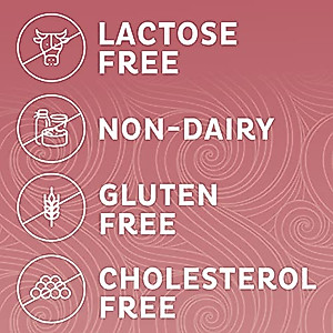 Nestle Coffee mate Cinnamon Vanilla Creme Liquid Coffee Creamer