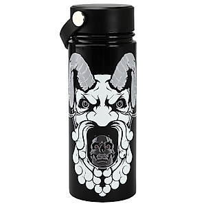 Dungeons and Dragons Stainless Steel 17 Oz Water Bottle