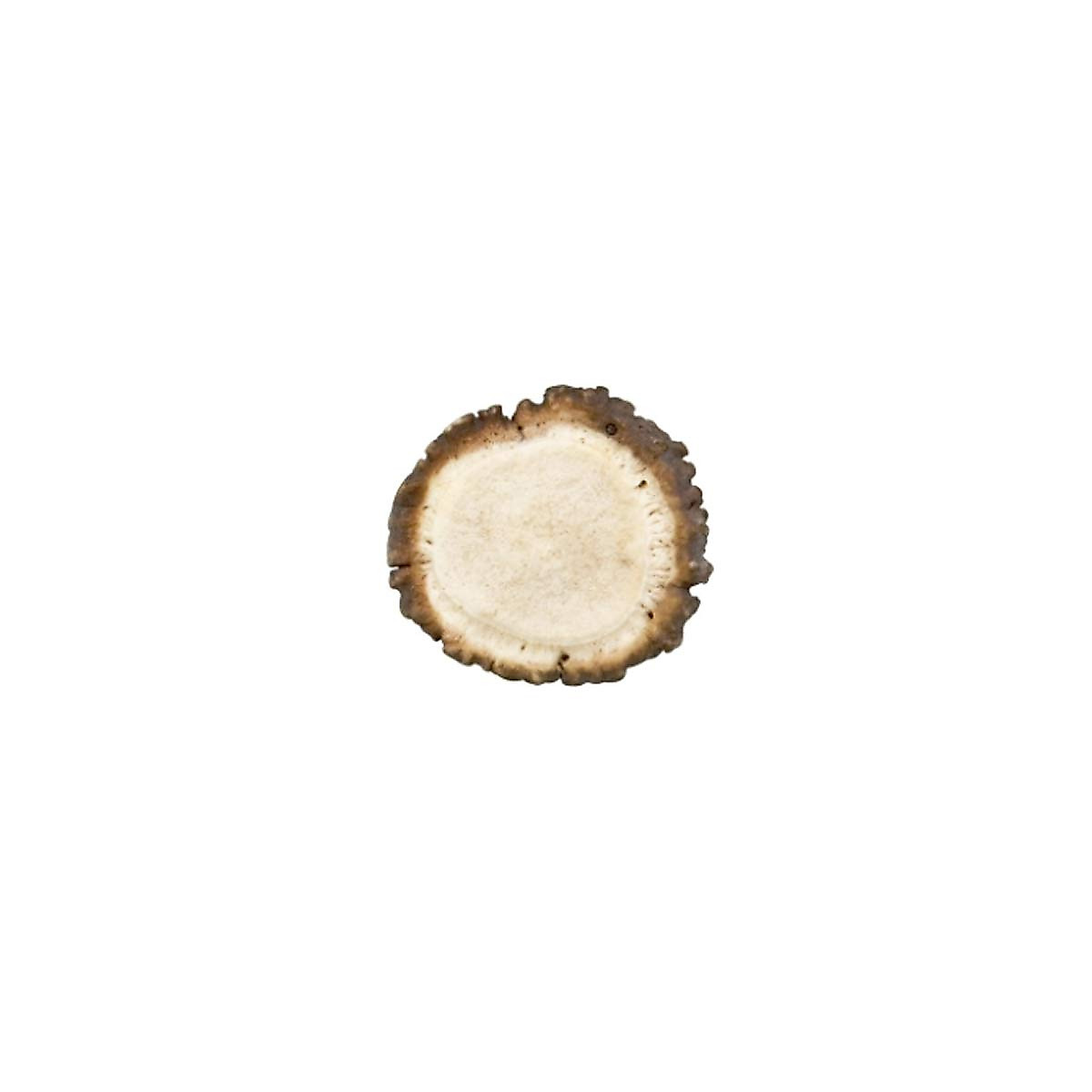 Joker Skinning Knife CN74 Hurón, Deer Horn Handle, Hunting Knife with 4.33 inches MOVA Steel Blade, Brown Leather Sheath, Tool for Fishing, Hunting, Camping and Hiking