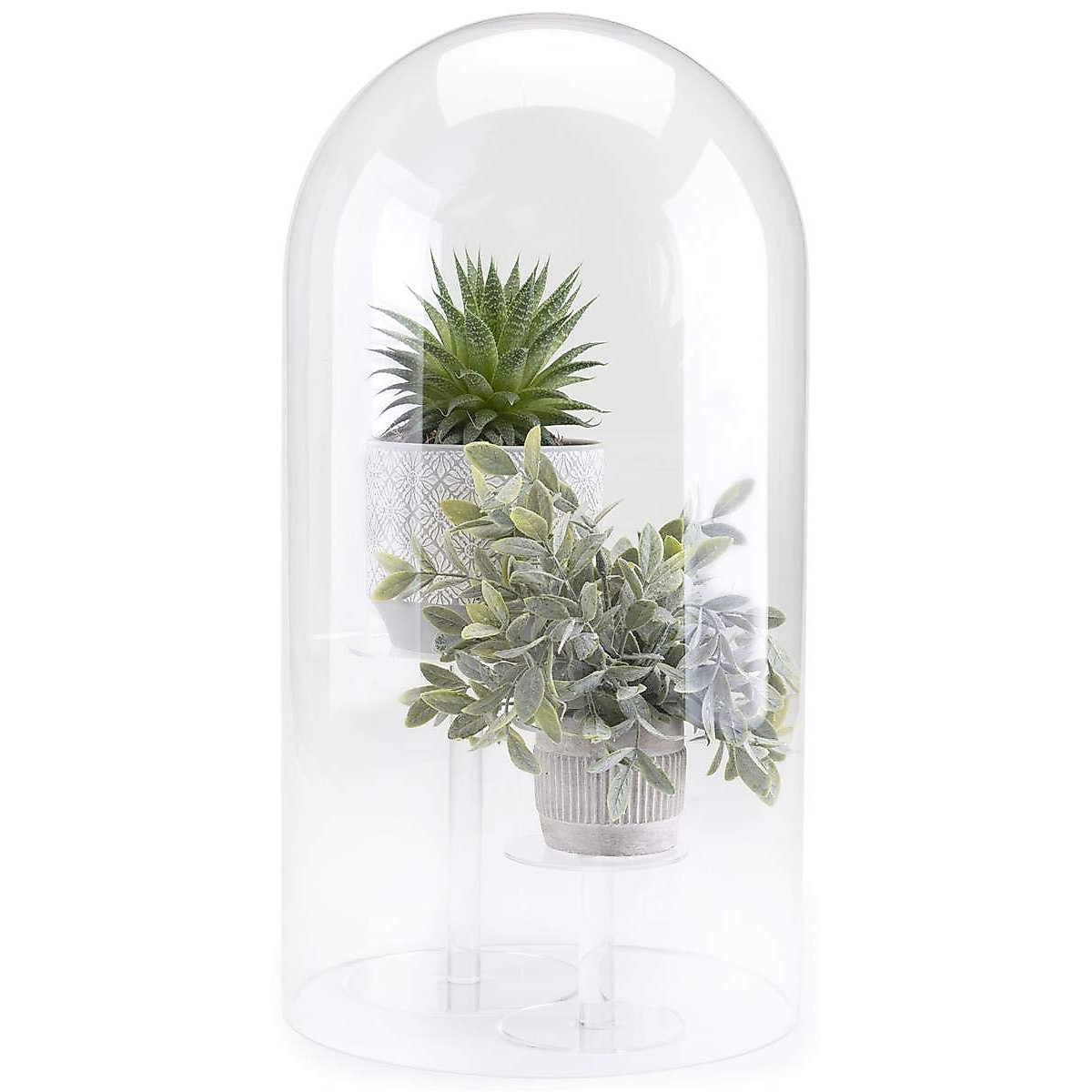 Displays2go Large Glass Dome Display with Baseless Design, 12" x 24" — Clear (DCGDOMEL)