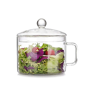 64 OZ Glass Cooking Pot Glass Saucepan with Cover Heat Resistant Simmer Pot for Stovetop Stew Pot for Pasta Noodle Soup Milk