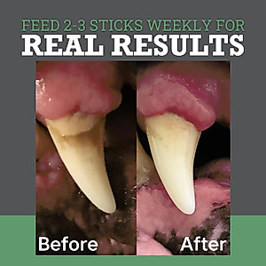 WINPRO Pet Functional Dental Stix for Dogs, 16 Sticks, Plasma Powered Dental Dog Chew Sticks That Promotes Gum and Peridontal Health