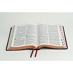 Santa Biblia Reina Valera 1960 Letra Gigante con Indice Foro de Semil Piel en color caoba con cafe claro Incluye fotos y ilustraciones