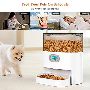 HoneyGuaridan Automatic Cat Feeder, 6L Timed Cat Feeder with Desiccant Bag for Pet Dry Food, Dual Power,10s Voice Recorder, 0-24 Portions 6 Meals per Day, Travel Supply Feeder for Cats and Dogs