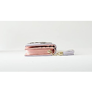 SQX Totoro Wallets Women Wallets Cartoon Card Holder Coin Purse Zipper and Hasp Clutch Long Wallet (Color : Black), 19x9x3cm