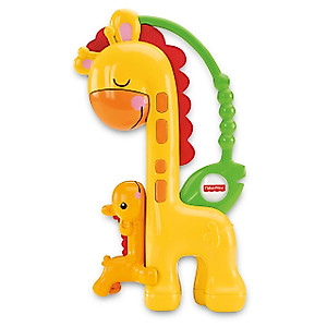 Fisher-Price Playful Pals Gift Set