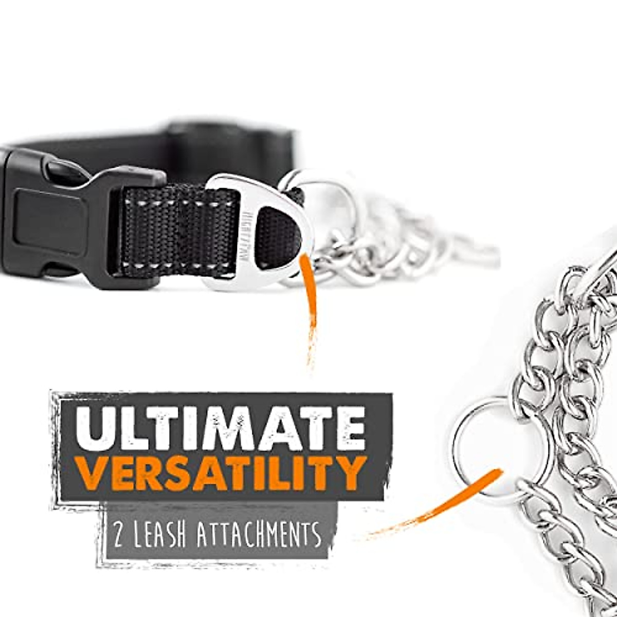 Martingale Collar, Training Dog Collar, Limited Cinch Chain Pet Gear for No Pull Dog Walking