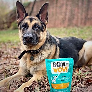 NovaFerrum Bow Wow | 18-in-1 Multifunctional with Iron Supplement for Dogs | Blood Support for Anemia | Glucosamine | Probiotics | Antioxidants | Chicken Flavor | 90 Chews