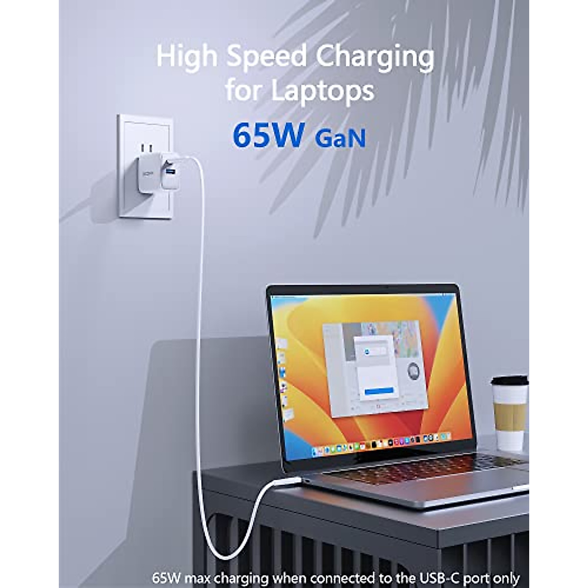 USB C Charger 65W, RICOMM GaN PPS Fast Charger Adapter Kit (Soft Silicone Cable Included) Travel Wall Charger Foldable Plug for MacBook, iPhone Pro Max, iPad, AirPods, Samsung Galaxy S22/S20/S10