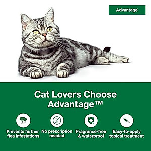 Advantage Topical Cat Flea Treatment and Prevention for Large Cats Over 9 lbs. | Apply Flea Drops Monthly | 2 Treatments