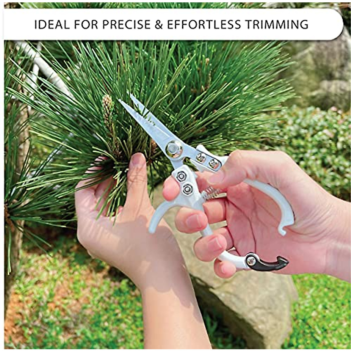 LOOPSEED Plant Pruning Shears with Leather Sheath Garden Trimming Scissors with Belt Holster Bonsai Trimmers Herb Snips Flower Clippers Modern Garden Tools 2 Piece Bundle