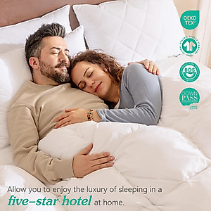 Three Geese White Goose Feather and Polyester Bed Pillows Queen/Standard Size Set of 1- Soft 600 Thread Count 100% Cotton, Medium Firm,Soft Support, White Solid