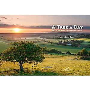 A Tree a Day