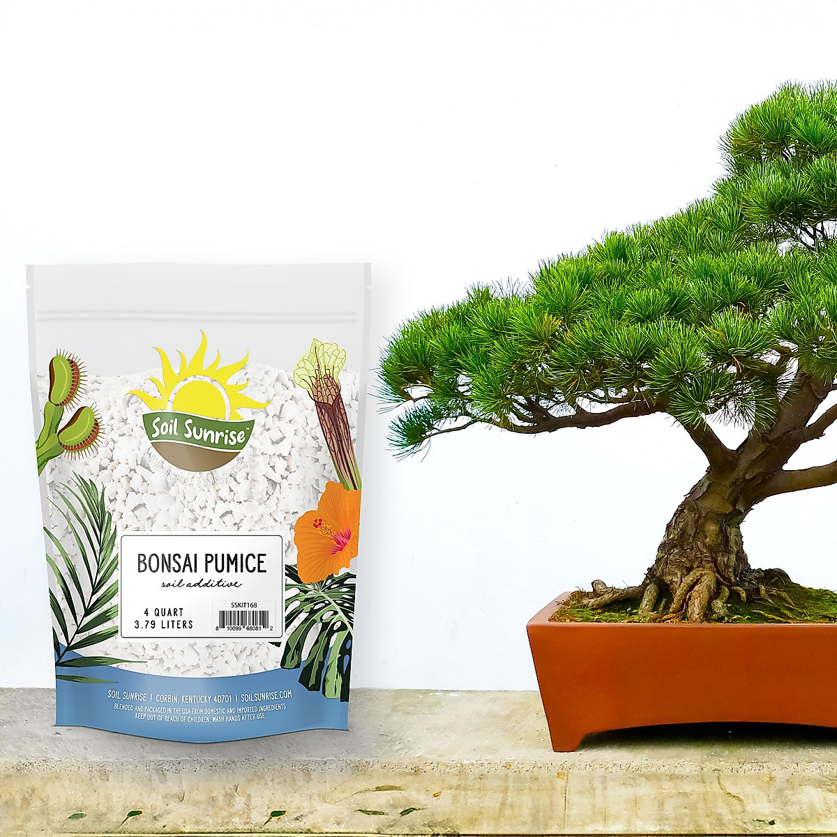 Horticultural Bonsai Pumice Soil Additive (4 Quarts), 7LB Ideal Substrate for Bonsai Trees, Cactus and Succulents