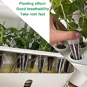 Lawdiey 30 Pack Grow Baskets, Replacement Grow Baskets Compatible with Hydroponic Growing System,Durable Plastic Plant Growing Containers