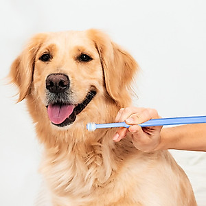 2 Pack Small Dog Toothbrush,360 Degree Silicone Cat Toothbrush Pet Dental Care Dog Oral Hygiene Deep Clean Pet Teeth Cleaning Kit Soft Bristles Friendly to Gums, Easy to Handle, Fresh Breath - Medium