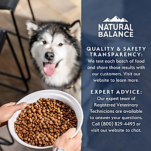 Natural Balance Health Protection Small Breed Dry Dog Food – Whole Body Health, Easy on Digestion Dog Food Made with Chicken, Brown Rice & Pumpkin for Dogs - 4lbs.