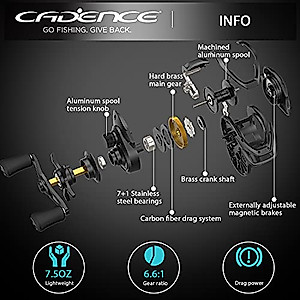 Cadence CB5 Baitcasting Reels Lightweight Graphite Frame Fishing Reels with 8 Corrosion Resistant Bearings Baitcaster Reels Carbon Fiber Drag Baitcast Reels with 6.6:1 Gear Ratio Casting