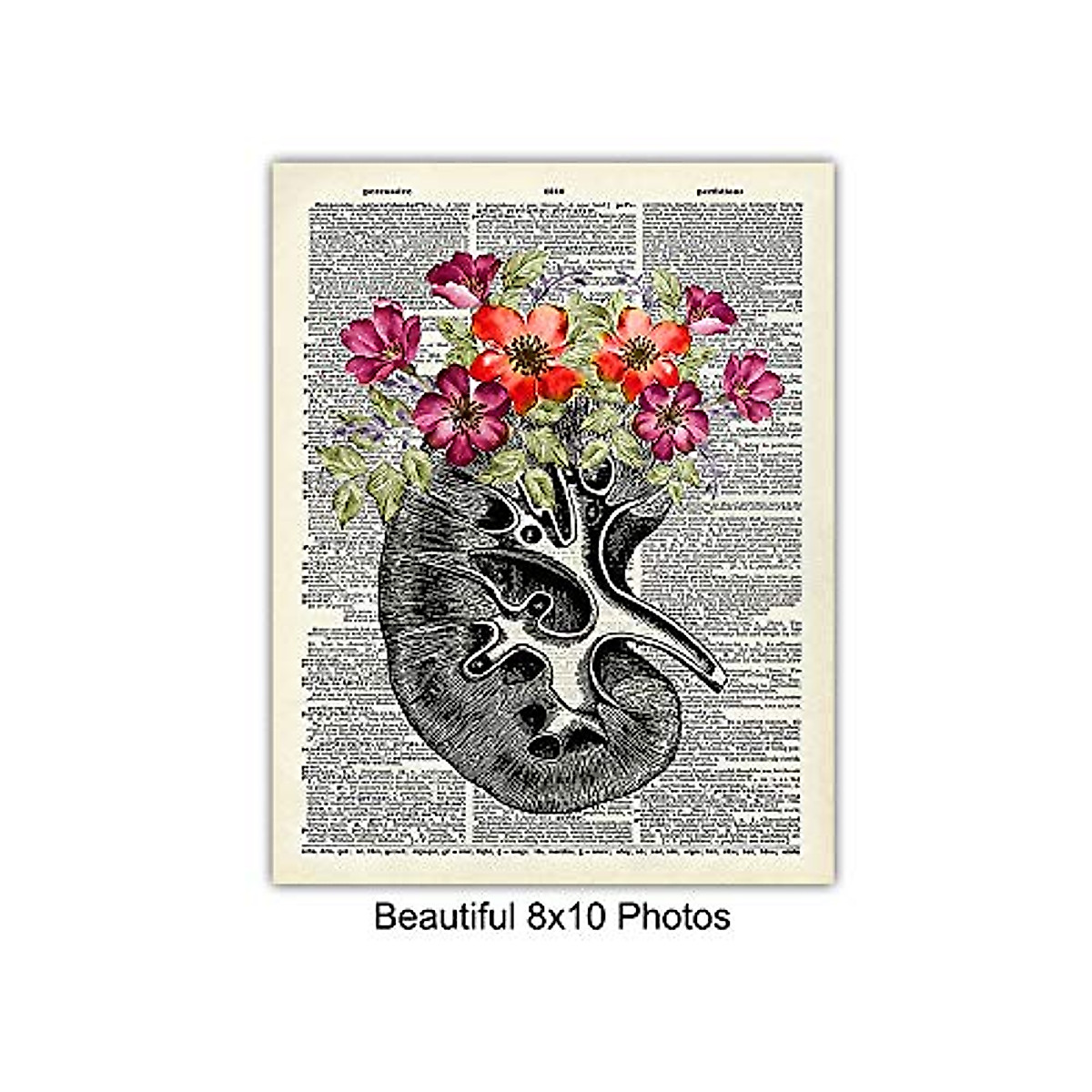 Heart, Skull, Brain, Lungs, Kidney, Liver Wall Art Decor - Human Anatomy Room Decorations - Medical Office Decor - Shabby Chic Gift for for Doctor, Nurse, Women, RN - Poster Picture Prints Set