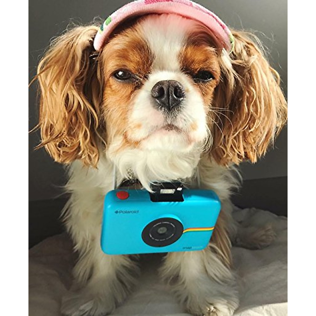 Zink Polaroid Snap Touch Portable Instant Print Digital Camera with LCD Touchscreen Display (Blue)