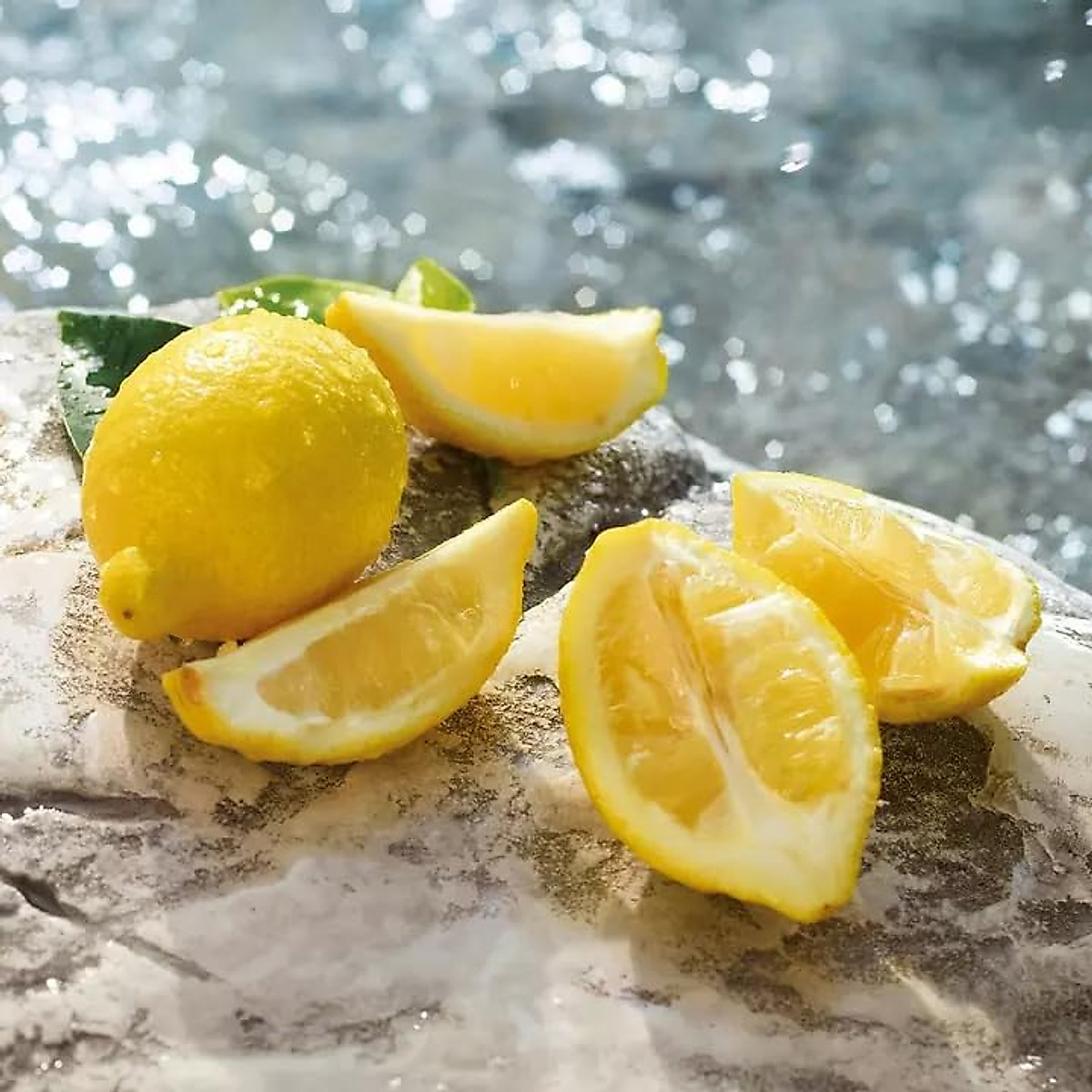 Dolce & Gabbana Light Blue, Eau De Toilette Spray, For Women - 100 ml / 3.3 fl.oz