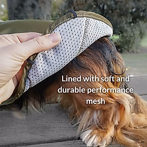 DJANGO City Slicker All-Weather Dog Jacket & Water-Repellent Raincoat with Reflective Piping (Medium, Kombu Green)