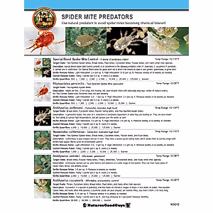 Natures Good Guys - Amblyseius swirskii (10 Sachets with 250 Mites)