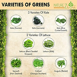 Heirloom Lettuce Mix and Greens Garden Seeds, 8 Varieties, 5300 Seeds, Hydroponic Seeds, Includes Bibb Butter Lettuce Seeds for Planting, Kale, Arugula Seeds, Spinach, Collards, and More, Non-GMO…