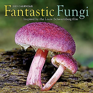 Fantastic Fungi Wall Calendar 2023: For Mycologists, Artists, Foodies, Ecologists, Doctors, and Explorers