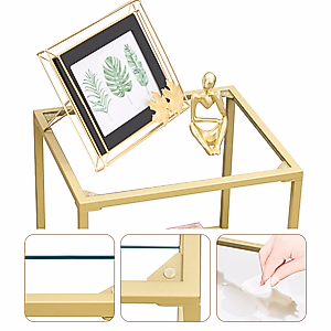 Homhedy 4-Tier Bookshelf,Metal Bookcase,Tempered Glass Shelves,Storage Rack Shelf for Home Office,Living Room,Bedroom, Bathroom,Modern Style,Golden