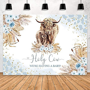Avezano Highland Cow Baby Shower Backdrop for Boy Holy Cow Highland Cattle Baby Shower Party Decorations Blue We are Having A Baby Shower Party Background(7x5ft)