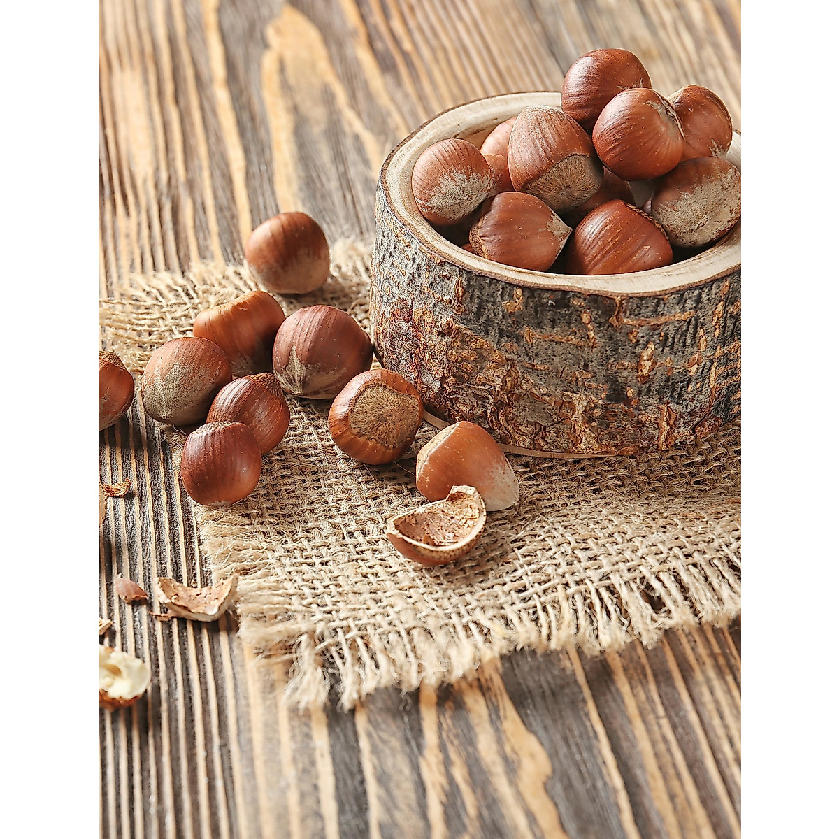 Anna and Sarah Large Oregon Hazelnuts in Shell, 5 Lbs