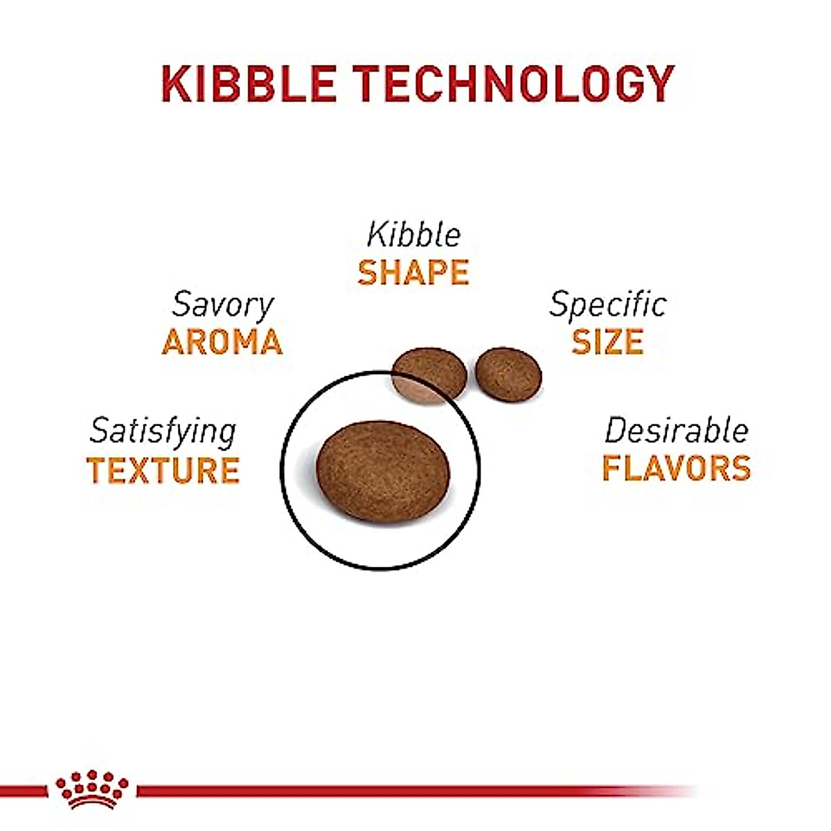 Royal Canin Hair & Skin Care Dry Cat Food, 6 lb bag