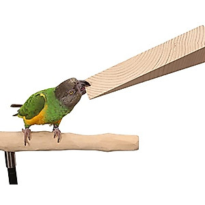 Parrot Chew Stix (Parrot Chew Stix - Set of 6 Parrot Toys)