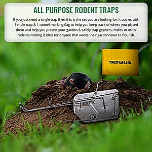 Cinch Mole Trap Deluxe Kit Large (2 Pack) Heavy Duty and Reusable, Rust and Weather Resistant, Outdoor Use, Lawns, Gardens, Sports Fields, Yards, Personal and Professional-Grade Use
