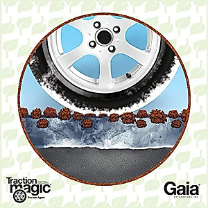 Safe Paw Pet Saltless Ice Melt for Various Terrain, 22 lbs and Traction Magic Quick Application All Natural Snow Melter, 15 Lbs Bucket