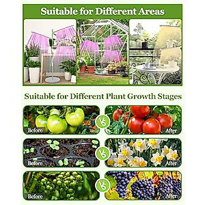 HAARAY Plant Grow Lights for Indoor Plants Full Spectrum, 3-Head LED Plant Growing Lamps with Height Adjustable and Rotatable Stand, 10 Dimmable Level, 3/9/12H Timer, 3 Switch Modes