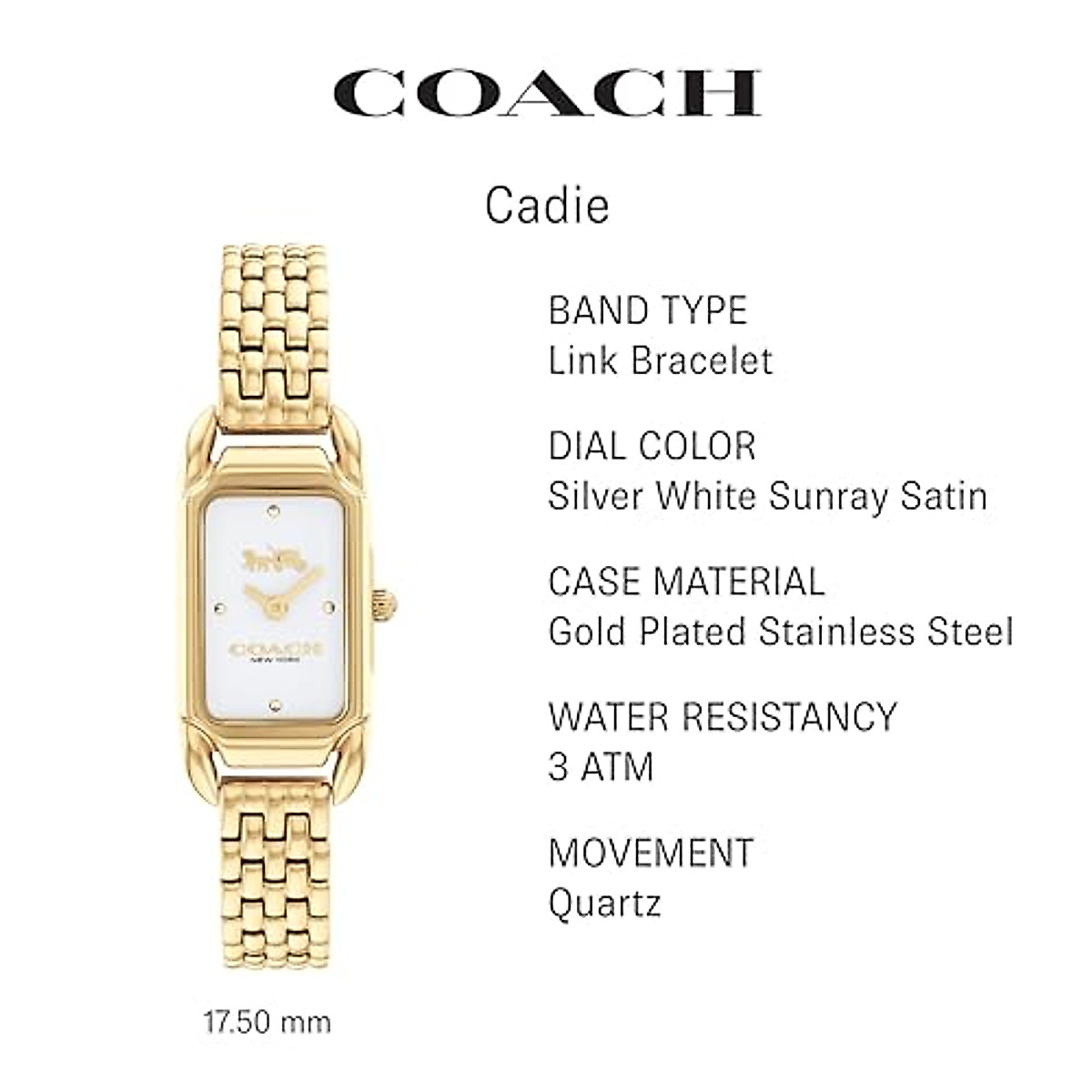 Coach Cadie Women's Watch | Timeless and Aesthetic | Designed for Every Occasion | Water Resistant (Model 14504036)