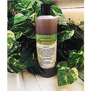 Ancient Ayurvedic Herbal Hair Therapy Shampoo- System II