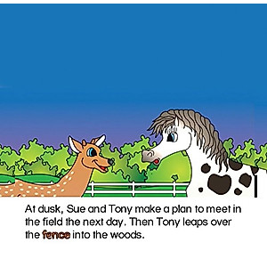 Phonics Easy Readers DVD by Rock 'N Learn