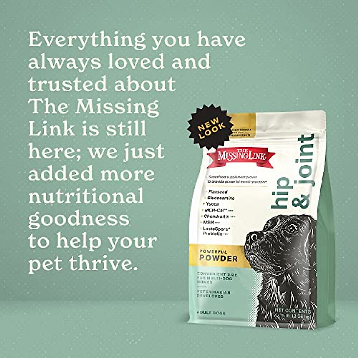 The Missing Link Hip & Joint Probiotics Superfood Supplement Powder for Dogs - Omegas 3&6, Fiber, Glucosamine, Chondroitin, MSM, HA - Cartilage & Bone Health, Joint Mobility & Flexibility - 5lb