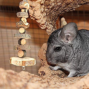 S-Mechanic Bunny Chew Toys Natural Apple Wood Small Animal Chew Toys for Rabbits Chinchilla Hamsters Guinea Pigs Gerbils (Pack 1)