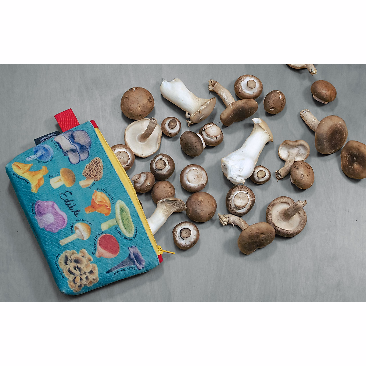 The Unemployed Philosophers Guild Mushroom Bag - 9" Canvas Zipper Toadstool and Nature Themed Pouch for Pencils, Tools, Cosmetics, Toiletries, and More