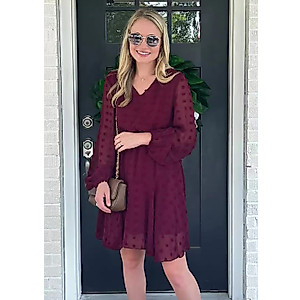 KIRUNDO Womens Spring Dresses 2024 Fashion Casual Long Lantern Sleeve V Neck Cute Swiss Dot Mini Wedding Guest Dress(Style2-Wine Red, X-Large)